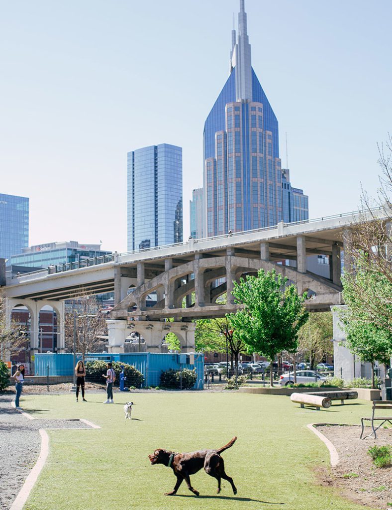 Explore Nashville’s Best Neighborhood to Live | 805 Lea